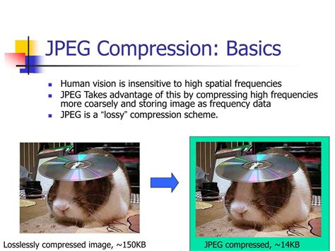 ppt media compression techniques powerpoint presentation free