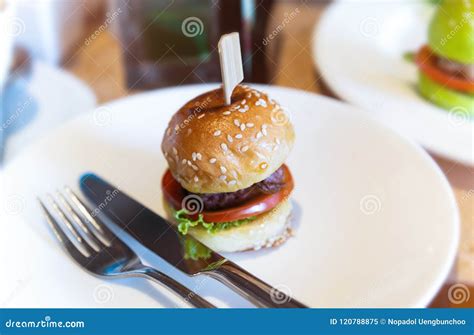 Mini Burger Set In White Plate Stock Image Image Of Plate American 120788875