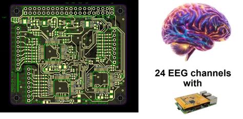 Neuroscince Brain Pcb Innovation Hardware Eeg Ildar Rakhmatulin
