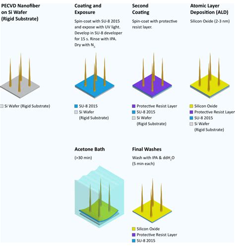 Using Carbon Nanofiber Arrays For Efficient Biomolecule And Dye Delivery To Plants