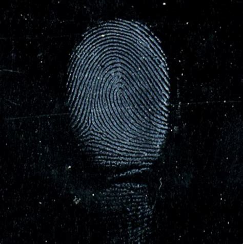 Sirchie Dual Purpose White Fingerprint Powder Kwick Soft Solutions