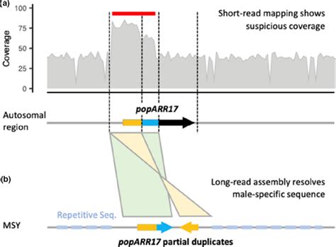 Whole‐genome Sequencing And Genome Regions Of Special Interest Lessons