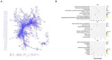 the coding non coding gene co expression network a visualization of