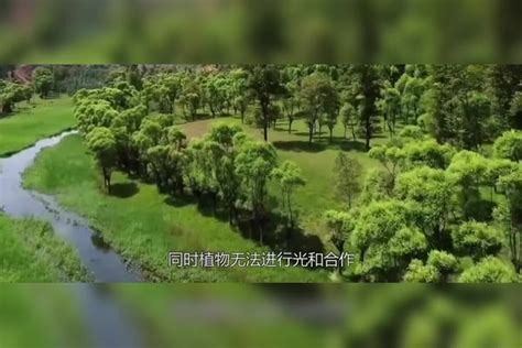振奋！中国造出了一颗太阳，温度高达1亿度，解决全球一大难题温度高达太阳