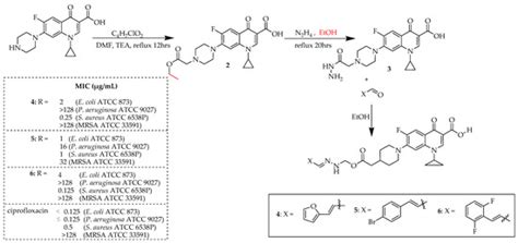 Advancements In Synthetic Strategies And Biological Effects Of Ciprofloxacin Derivatives A Review