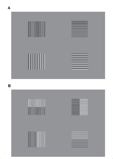 A Two Examples Of Helmholtzs Square Illusion Showing The Widening Of Download Scientific