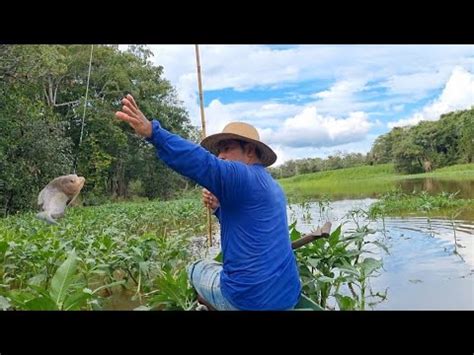 Pescando De Cani O Piranha E Car A Youtube