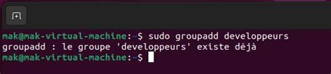 Ajouter Un Utilisateur à Un Groupe Ou à Un Deuxième Groupe Sous Linux