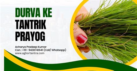 Best Durva 1
