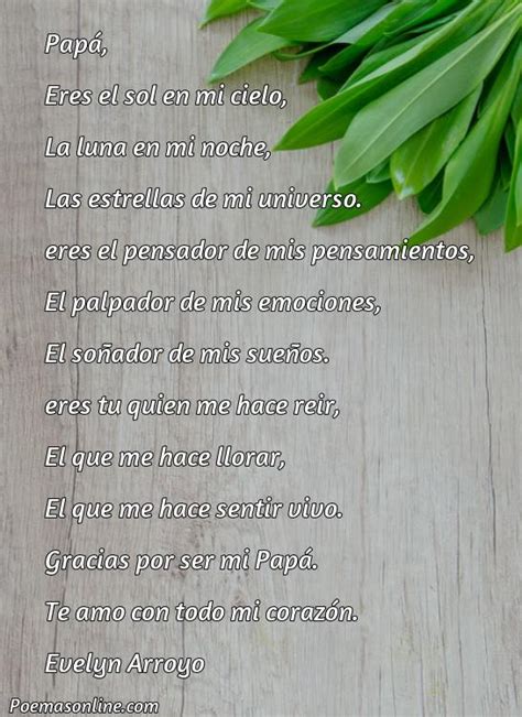 Cinco Mejores Poemas Para Dedicar A Papa Poemas Online