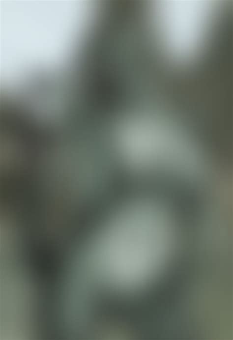 Where Does Argonian Need Underwear Anyway Rrule34