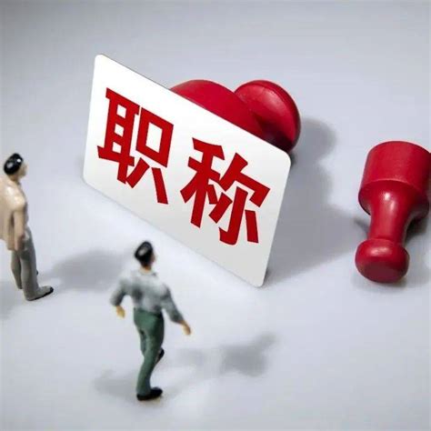 职称系列各层级名称都是什么戳 专业 李庆红 陈勒伟