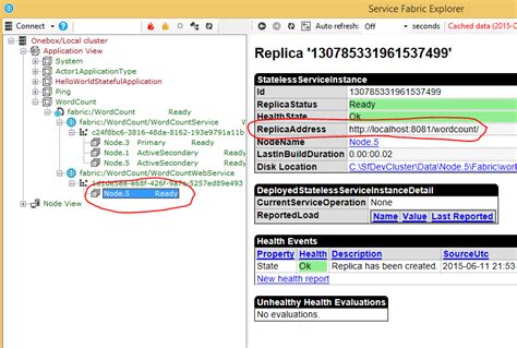 Viewing Processes Cores Threads And End Points Of A Azure Service Fabric Application Stack