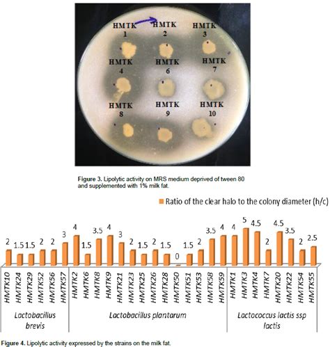African Journal Of Biotechnology Identification And Major