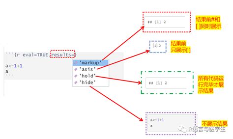 Rmarkdown Code Chunk
