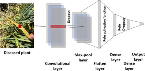A Comprehensive Review Of High Throughput Phenotyping And Machine