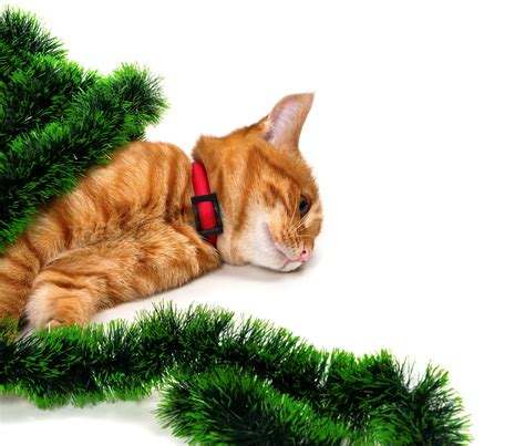 A Little Christmas Declutter