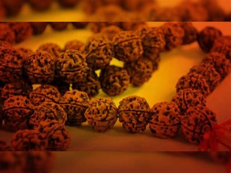 Rudraksha Lord Shiva Especially Loves Wear Rudraksha Bad Luck Will Turn