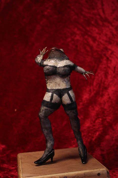 Taxidermy Frog Sexy Curiosity Oditties Taxidermy Frog Sexy Curiosity