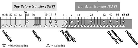 Sex Differences In Physiological Acclimatization After Transfer In