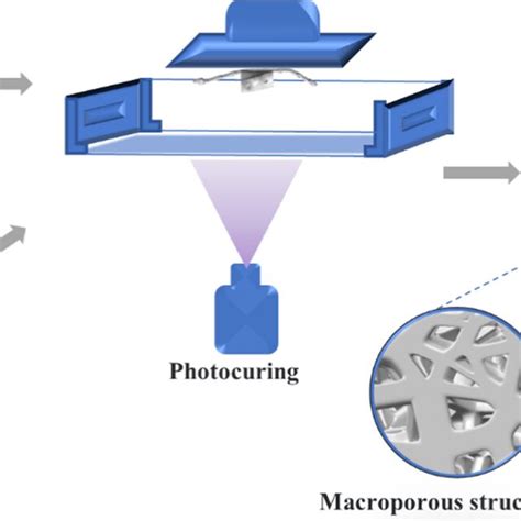 Design Process Of The Bionic Gradient Porous Structure Of The Download Scientific Diagram