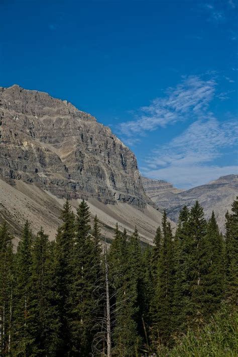 Canadian Rockies Jasper National Park Stock Photo Image Of Panorama Forest
