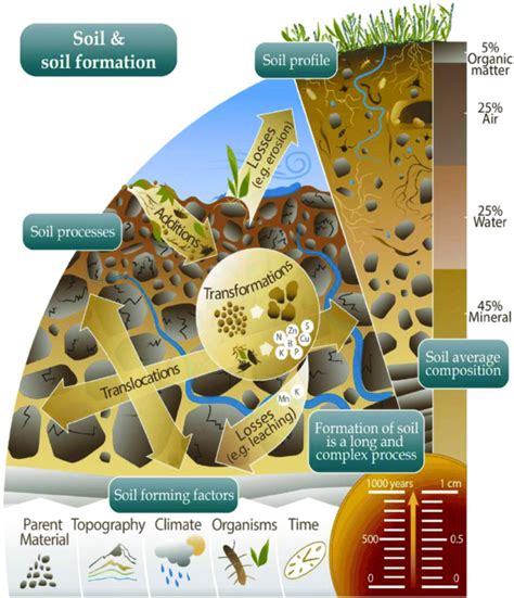 Soil Composition And Types Geology Science