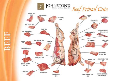 Printable Beef Cuts Chart Poster