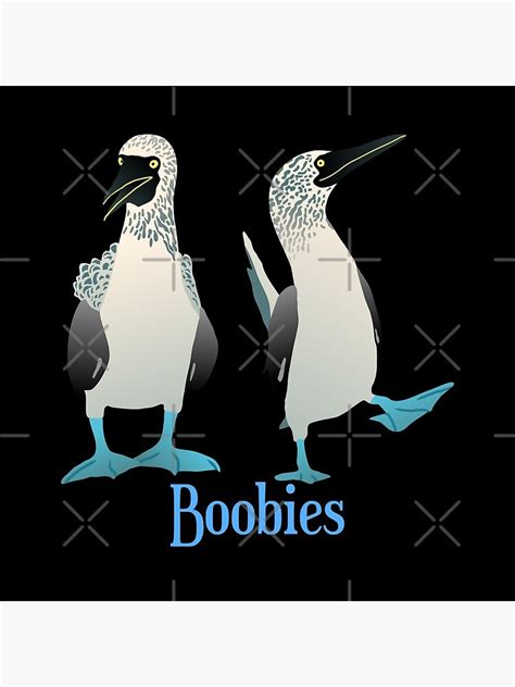 A Pair Of Boobies Art Board Print For Sale By Danigirls Redbubble