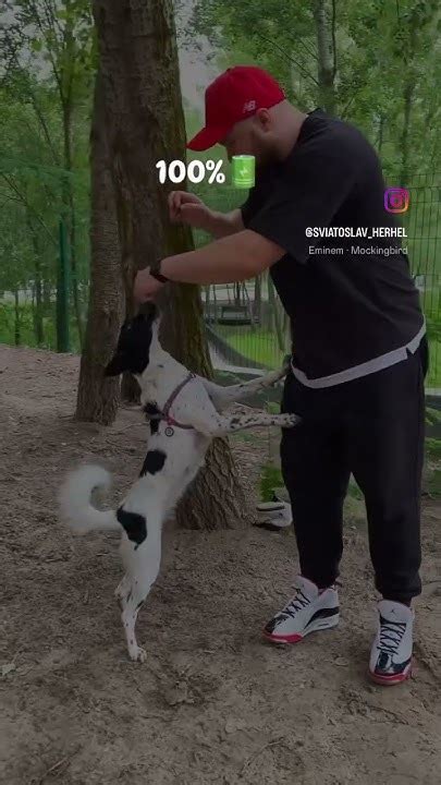 Кожному потрібна регулярна підзарядка🙏 Youtube