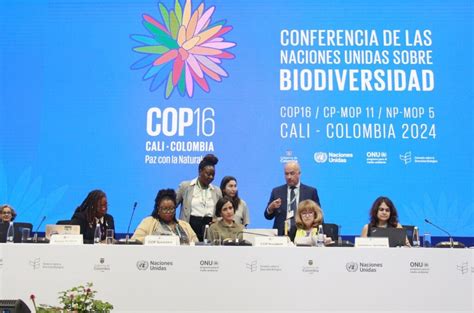 COP16 In Colombia Ends Without Agreement On Biodiversity Funding