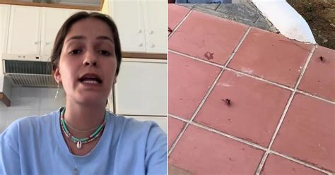 Alquilaron Un Departamento Para Pasar Las Vacaciones Pero Cuando Llegaron Al Lugar Los Recibió