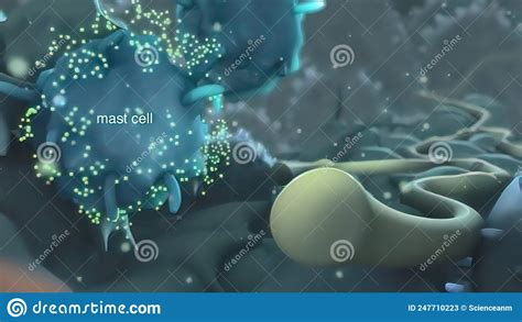 Joint Pain Rheumatoid Arthritis And Osteoarthritis Stock Illustration