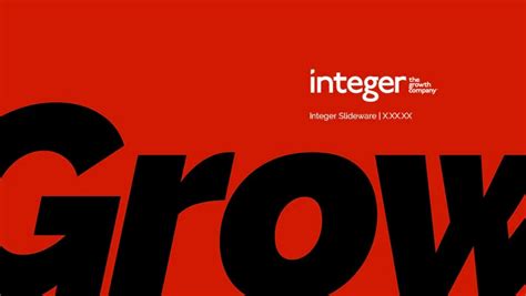 The Integer Group Marketing And Advertising Portfolio