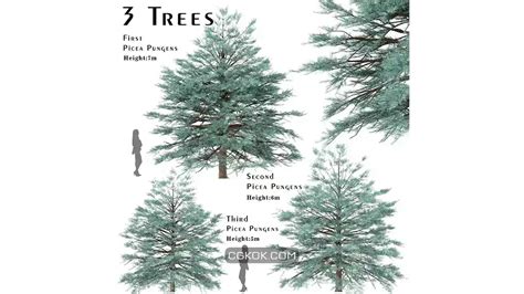 آبجکت درخت کاج دانلود مدل سه بعدی درخت کاج در سیجی کوک