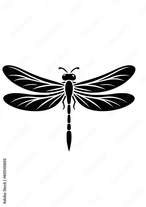 Dragonfly Svg Dragonfly Png Dragonfly Silhouette Insect Svg