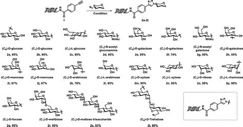 Correction To Modular Click Assembly Dna Encoded Glycoconjugate Libraries With On Dna
