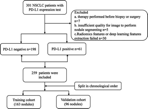 Ct Based Deep Learning Radiomics Biomarker For Programmed Cell Death