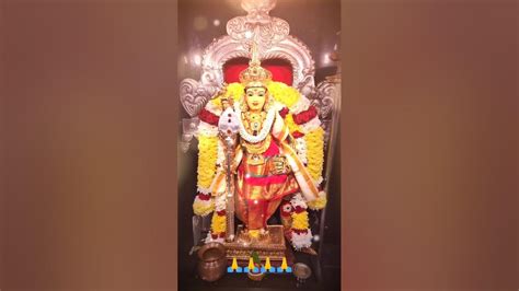 ராஜ அலங்காரத்தில் முருகன் Murugan Lordmurugan Muruganthunai Youtube