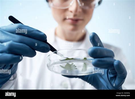 Female Doctor Research Biology Ecology Experiment Analysis Isolated