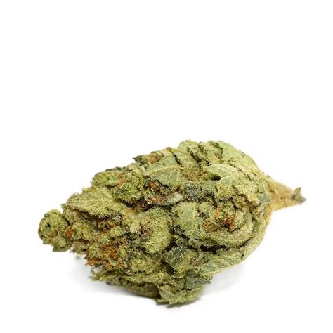 White Widow Strain Imperial Extracts