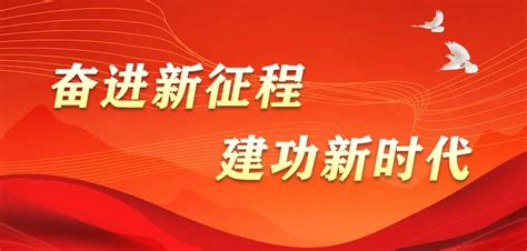 金鹰新闻