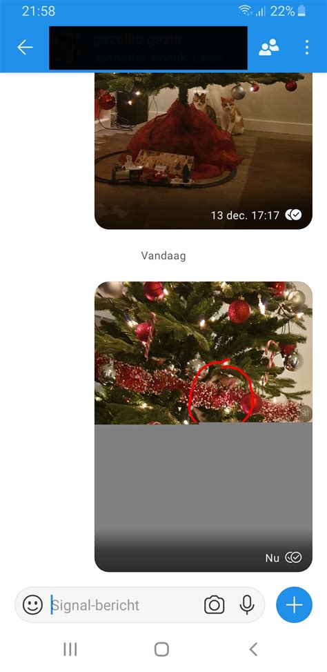 Occasionally A Picture Is Not Completely Rendered On Sending Device · Issue 9294 · Signalapp