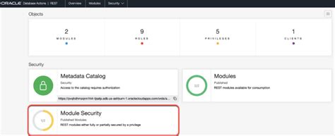 SQLDev Web Securing RESTful Services In Oracle Autonomous Database With OAuth2