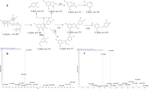 The Fragmentation Pathway Of Rutin A And Its Collision Induced