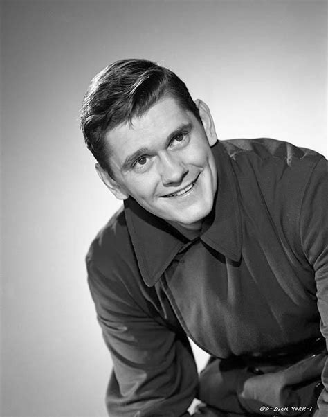 15 Best Darrin Stephens Images On Pinterest Wizards Elizabeth Montgomery And Artists