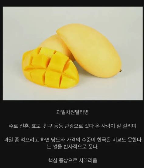 동남아에 갔다오면 걸릴수있는 위험한 병 볼텍스 게이밍