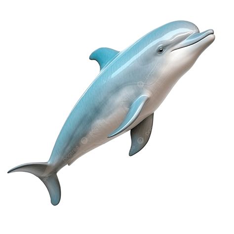 클리핑 패스를 사용하여 흰색 배경에 격리된 돌고래 고래 인형 어린이 장난감 인형 Png 일러스트 및 이미지 에 대한 무료 다운로드 Pngtree