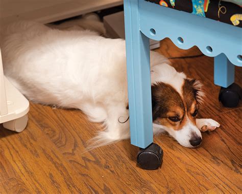 Sadie Sue And Judy Moore Pullen Women Create