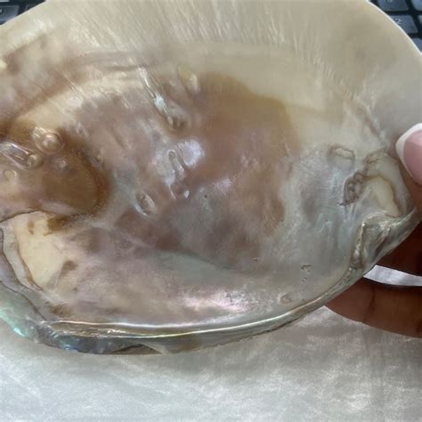 Concrete Block Cement Platform Stand Jewelry Photography Prop Kit Photo